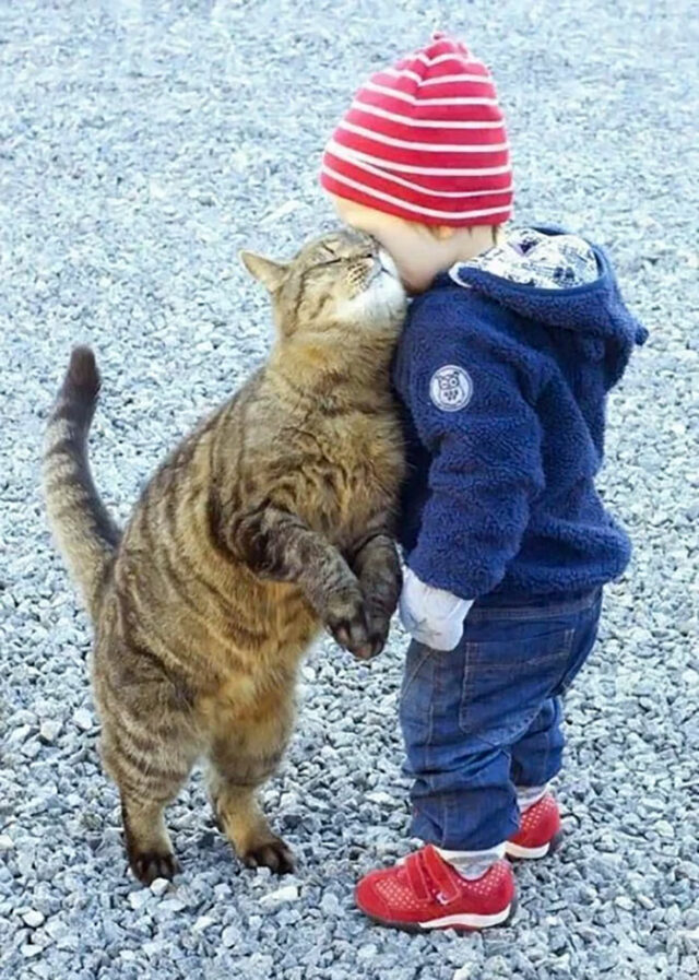 20 Pics Showing Beautiful Relationship Between Cats And Babies | DeMilked