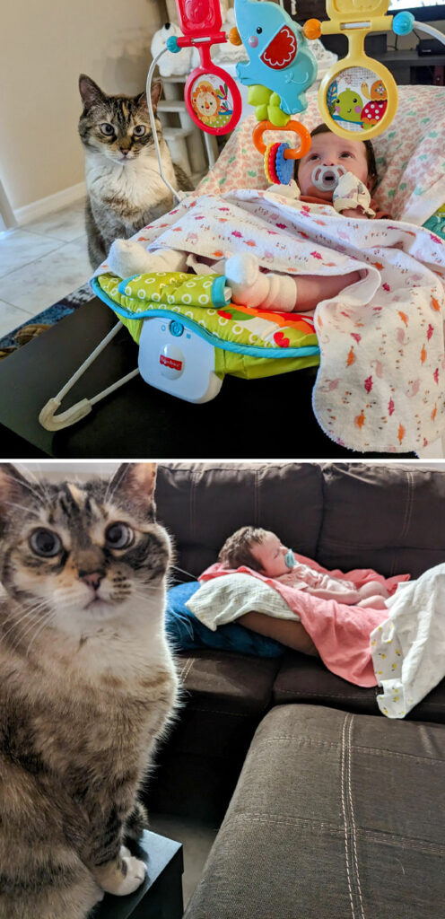 20 Pics Showing Beautiful Relationship Between Cats And Babies | DeMilked