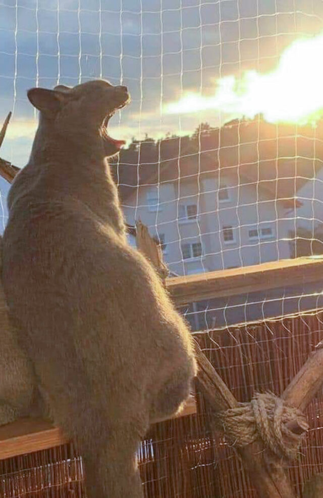 30 Random Photos That Might Confuse You For A Moment, Shared By This ...