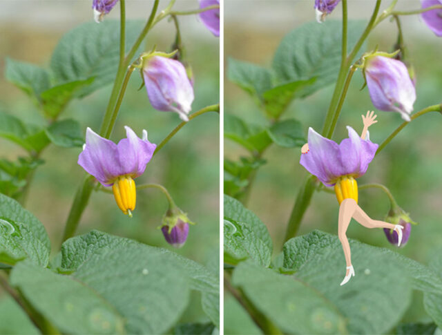 Artist Uses Everyday Objects To Create Funny And Interesting Illustrations (20 Pics) | DeMilked