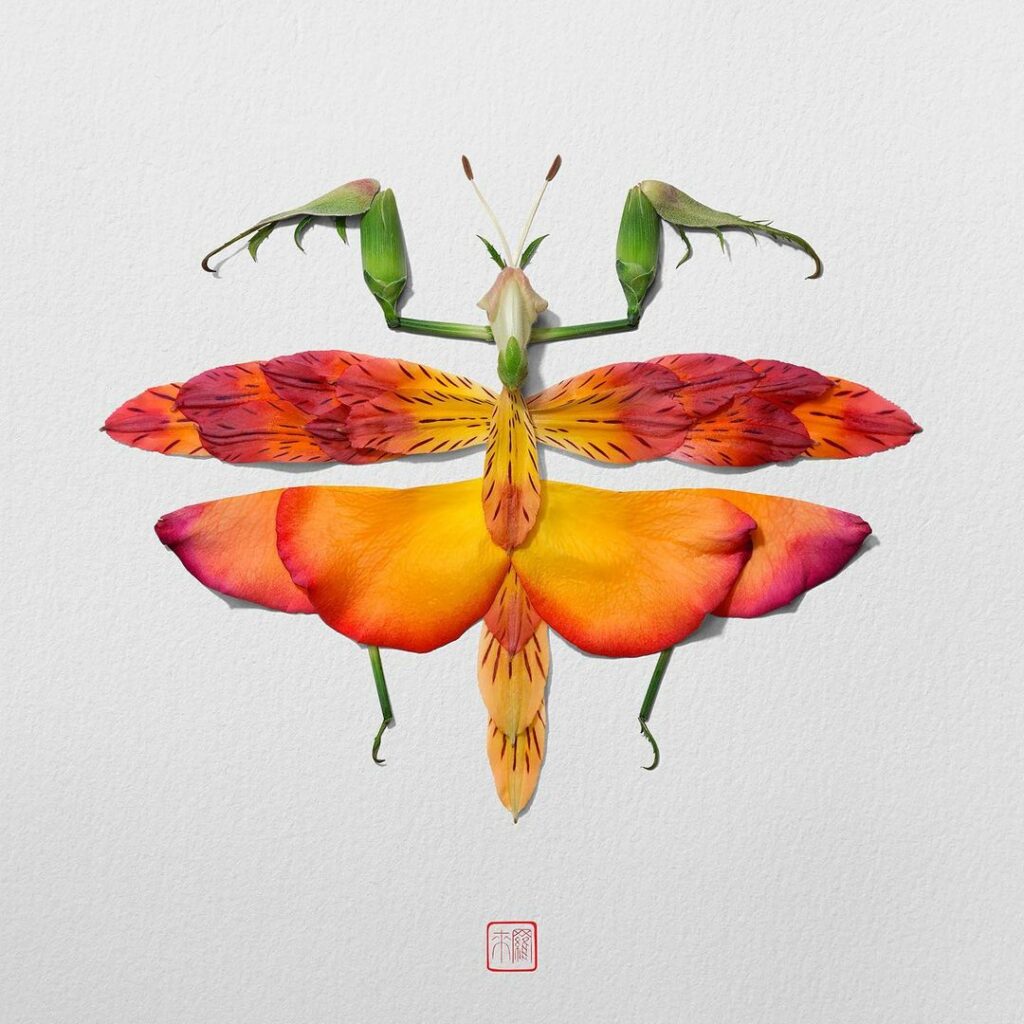 This Artist Creates Portraits Of Insects Without Using Any Insects At ...