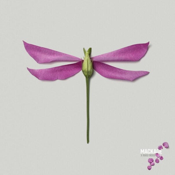 This Artist Creates Portraits Of Insects Without Using Any Insects At ...