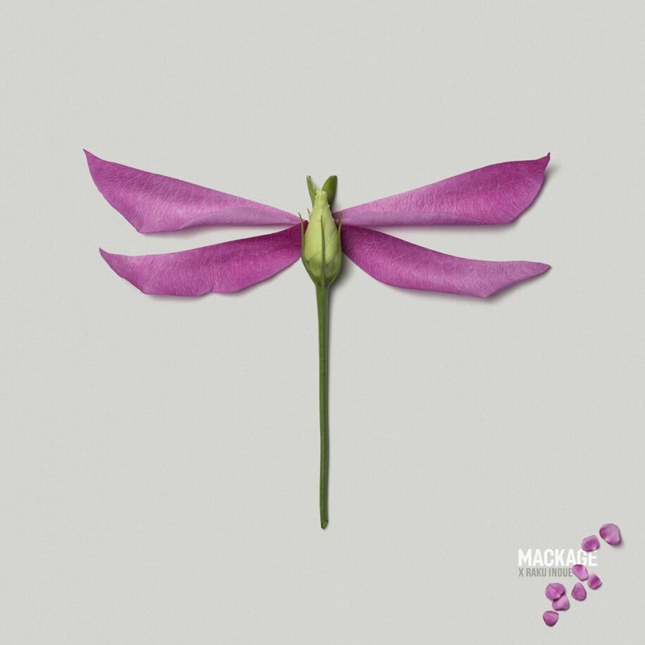 This Artist Creates Portraits Of Insects Without Using Any Insects At ...