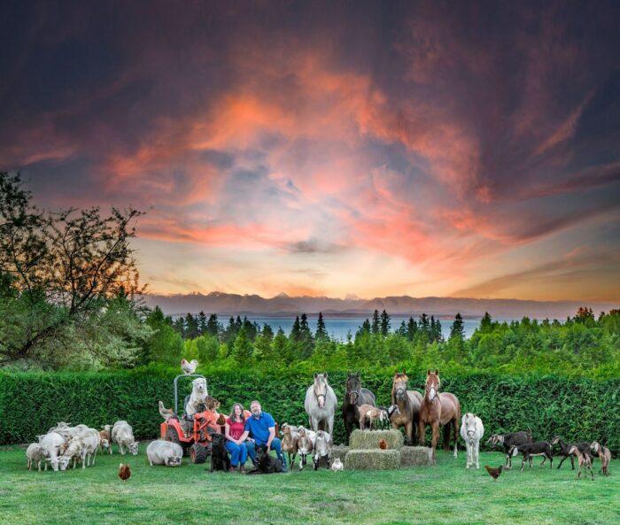 20 Stunning Portraits Of Farm Animals Living Together As A Family ...