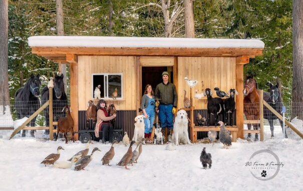 20 Stunning Portraits Of Farm Animals Living Together As A Family ...