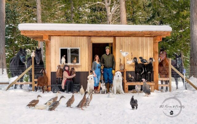 20 Stunning Portraits Of Farm Animals Living Together As A Family ...