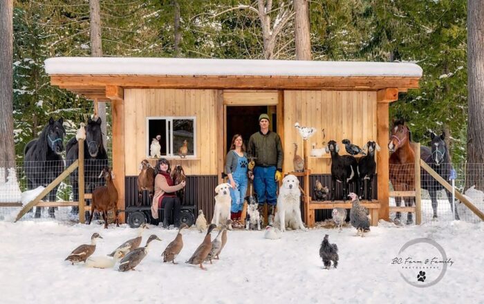 20 Stunning Portraits Of Farm Animals Living Together As A Family ...