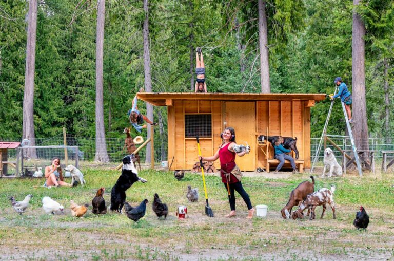 20 Stunning Portraits Of Farm Animals Living Together As A Family ...