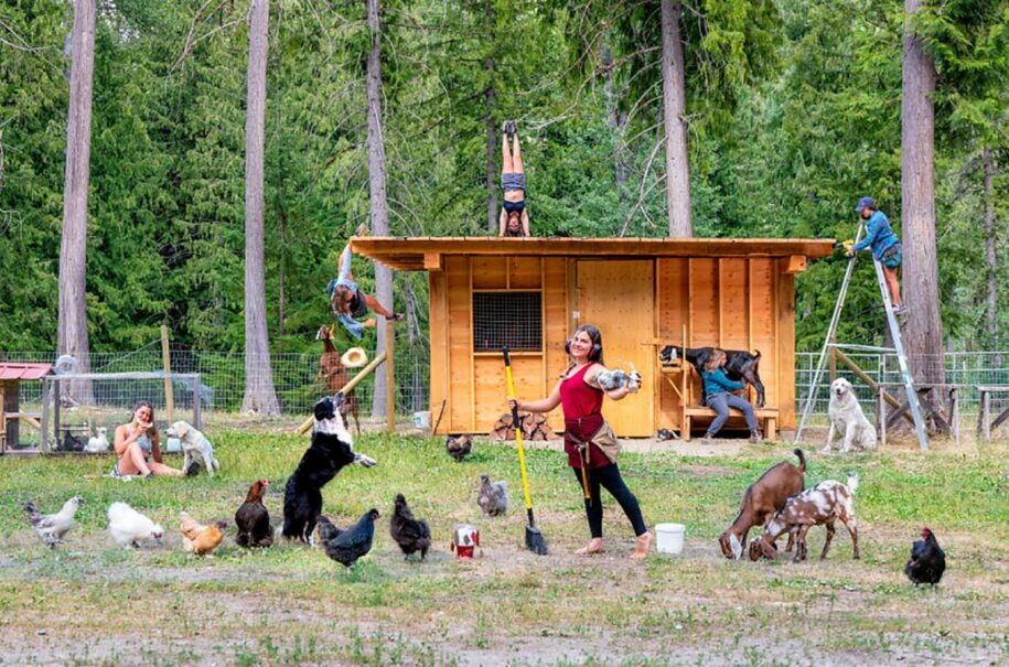 20 Stunning Portraits Of Farm Animals Living Together As A Family ...