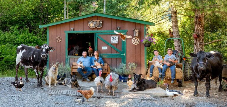 20 Stunning Portraits Of Farm Animals Living Together As A Family ...