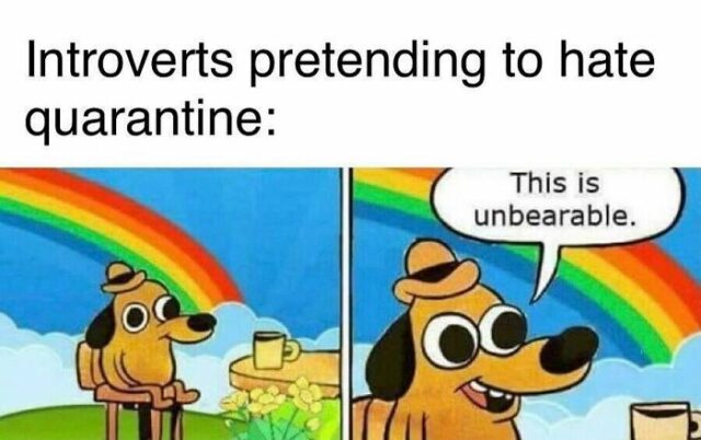 30 Funny And Relatable Introvert Memes, As Shared On This Instagram ...