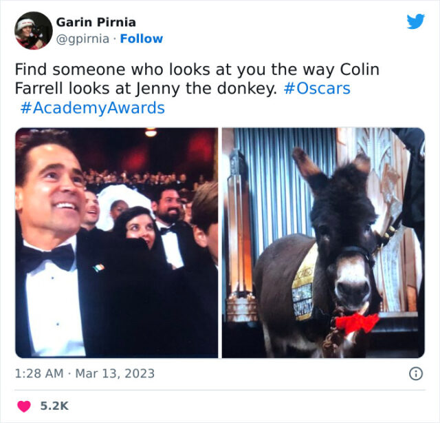 20 Hilarious Memes That Sum Up The 2023 Academy Awards Ceremony | DeMilked