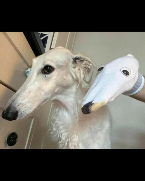 30 Absurdly Chaotic Memes, As Shared On This Instagram Page | DeMilked