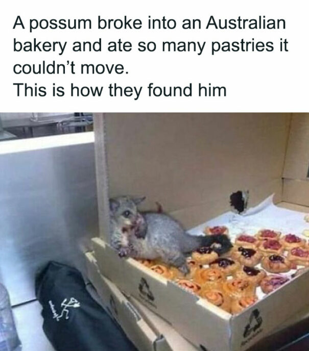 30 Hilarious Food-Related Memes That Are So Relatable | DeMilked