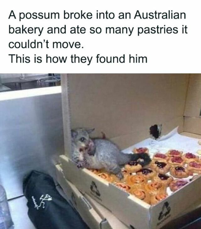 30 Hilarious Food-Related Memes That Are So Relatable | DeMilked