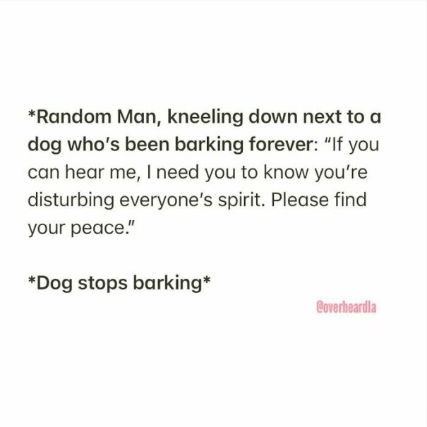 20 Times People Overheard Hilarious Conversations In Los Angeles | DeMilked