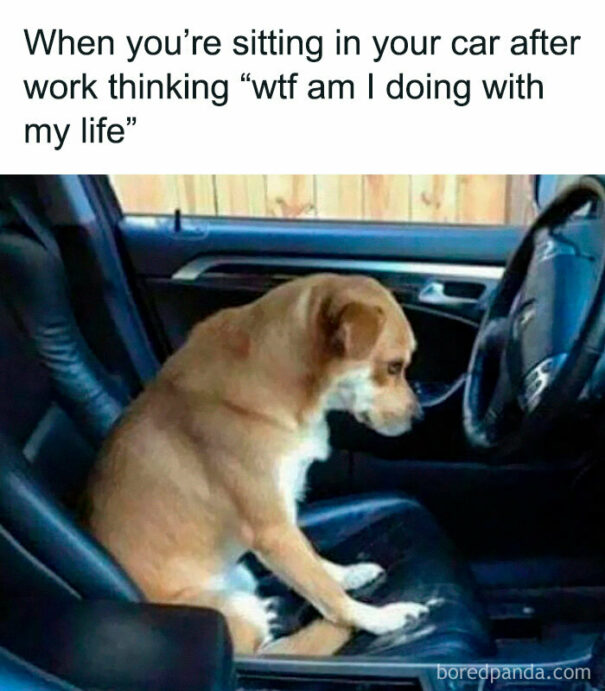 30 Utterly Hilarious And Amusing Work-Related Memes | DeMilked