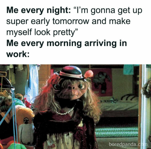 30 Utterly Hilarious And Amusing Work-Related Memes | DeMilked