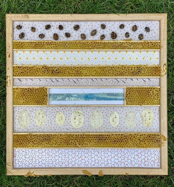 Artist Collaborates With Bees To Create Delicate Embroideries (10 Pics ...