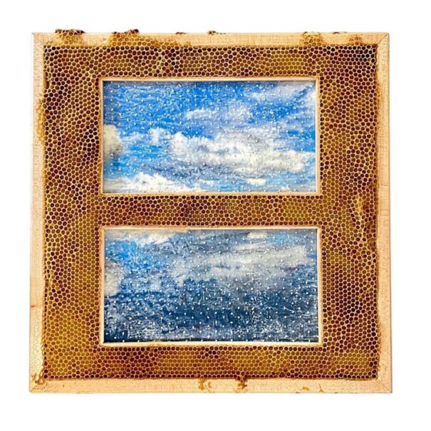 Artist Collaborates With Bees To Create Delicate Embroideries (10 Pics ...