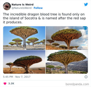 30 Strange, Creepy, And Captivating Nature Pics Shared By People Online ...