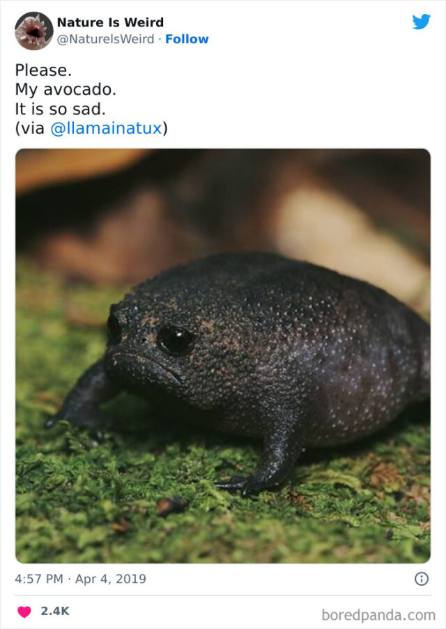 30 Strange, Creepy, And Captivating Nature Pics Shared By People Online ...