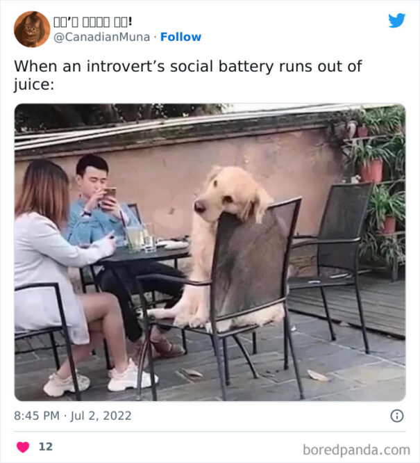 “Introvert Problems”: This Instagram Page Is Dedicated To Introverts ...