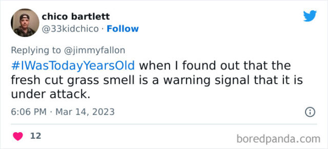 20 People Shared A Fact That Blew Them Away For Jimmy Fallon's Hashtag ...