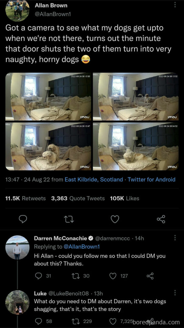 30 Amusing Screenshots That Prove That Scottish People Know How To Have ...