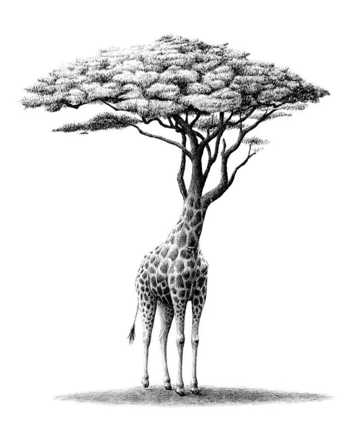 15 Illustrations That Defy Logic, Created By Redmer Hoekstra | DeMilked