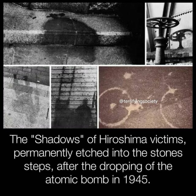 25 Truly Mind-Blowing Creepy Facts From The ‘Terrifying Society’ Insta ...