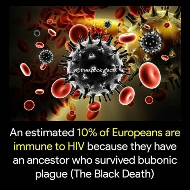 25 Truly Mind-Blowing Creepy Facts From The ‘Terrifying Society’ Insta ...