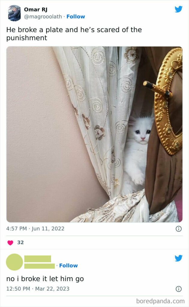 30 Times Someone Purrfectly Documented Their Chaotic Cat In An ...