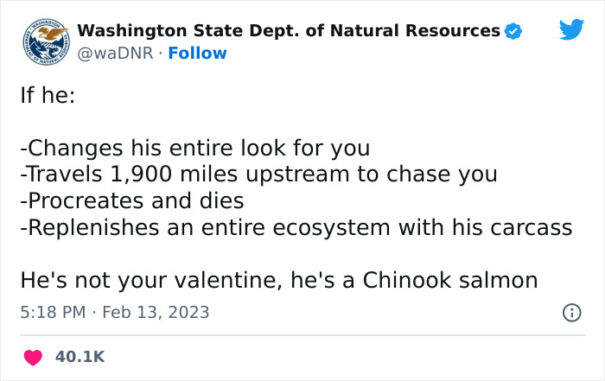 20 Of The Funniest Tweets From The Recently Trending Washington State Dept. Of Natural Resources ...