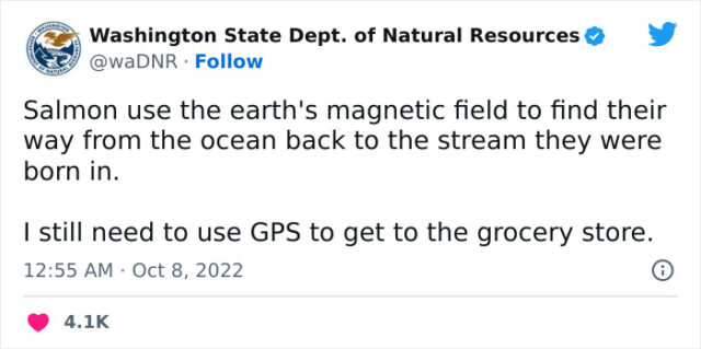 20 Of The Funniest Tweets From The Recently Trending Washington State Dept. Of Natural Resources ...