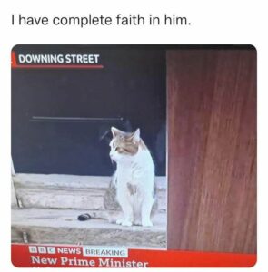 30 Cat Posts That Might Make Your Day Brighter, As Shared By This ...