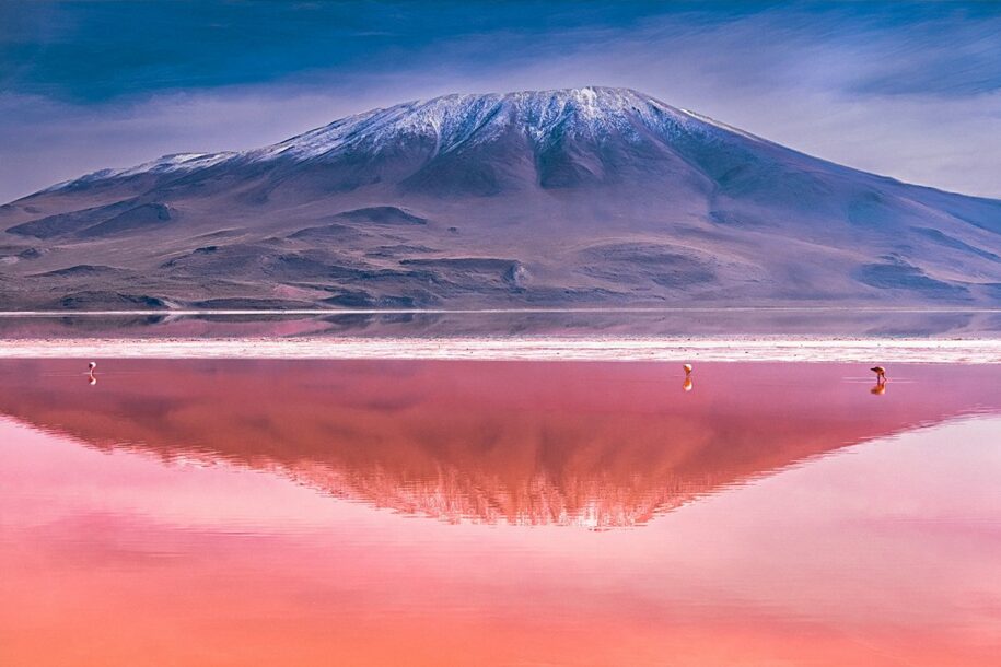 20 Winning Images From The World Nature Photography Awards 2022 | DeMilked