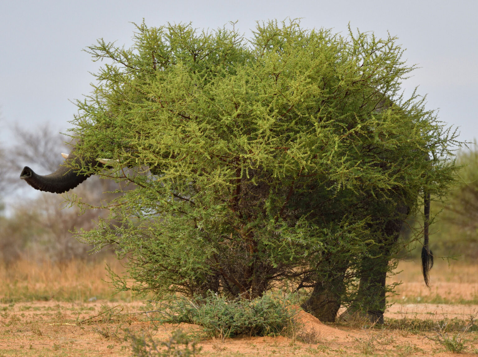 20 Winning Images From The World Nature Photography Awards 2022 | DeMilked