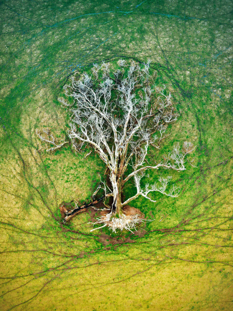 20 Winning Images From The World Nature Photography Awards 2022 | DeMilked