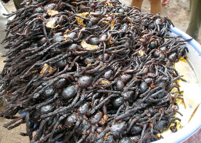 20 Of The Most Terrible Cuisines Of The World As Shared By People ...