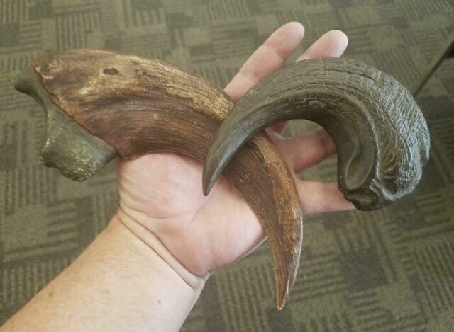 20 Fascinating, Rare, And Unbelievable Pics That Show Why "Nature Was ...