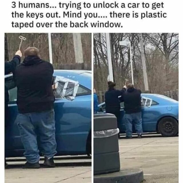 30 Brilliant Examples Of “America’s Cultural Decline Into Idiocy” From ...