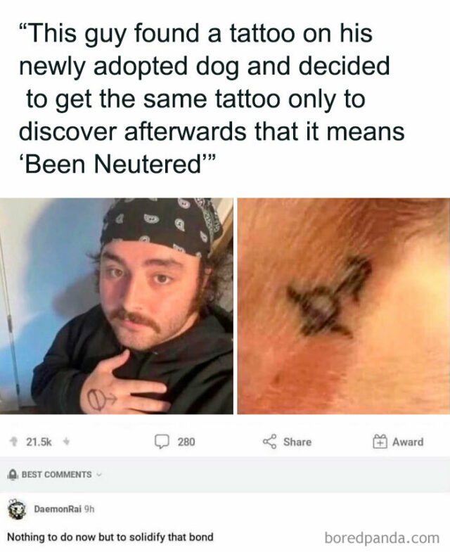 30 Brilliant Examples Of “America’s Cultural Decline Into Idiocy” From ...