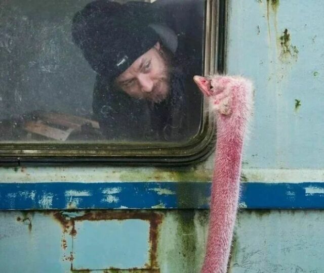 This Instagram Account Shares Interesting Street Photos To Amuse People ...