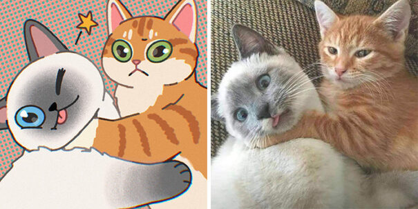 This Artist Recreates Funny Cat Images Into Comical Illustrations (31 ...