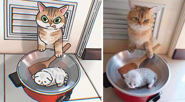 This Artist Recreates Funny Cat Images Into Comical Illustrations (31 ...