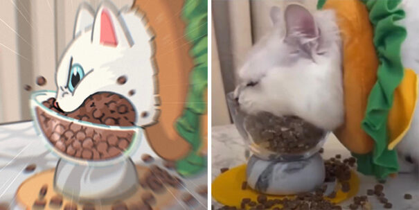 This Artist Recreates Funny Cat Images Into Comical Illustrations (31 ...