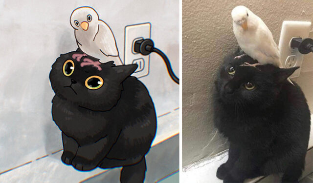 This Artist Recreates Funny Cat Images Into Comical Illustrations (31 ...