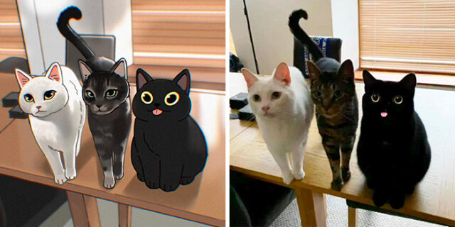 This Artist Recreates Funny Cat Images Into Comical Illustrations (31 ...