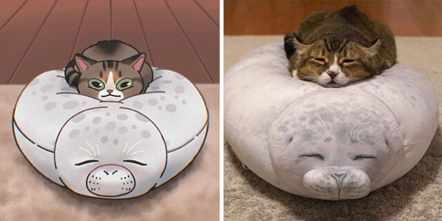 This Artist Recreates Funny Cat Images Into Comical Illustrations (31 ...